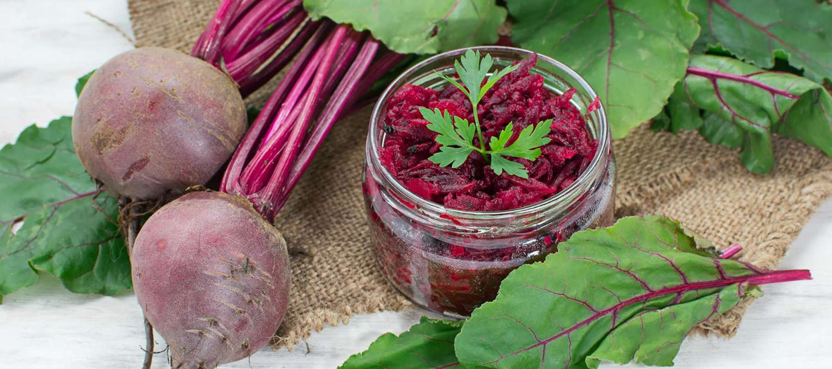 A Beginner's Guide to Growing Beets – SurvivalGardenSeeds