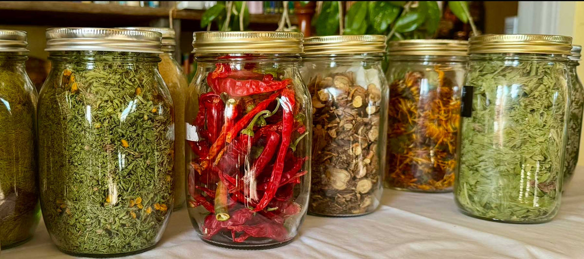 Making Herbal Medicine Delicious – SurvivalGardenSeeds