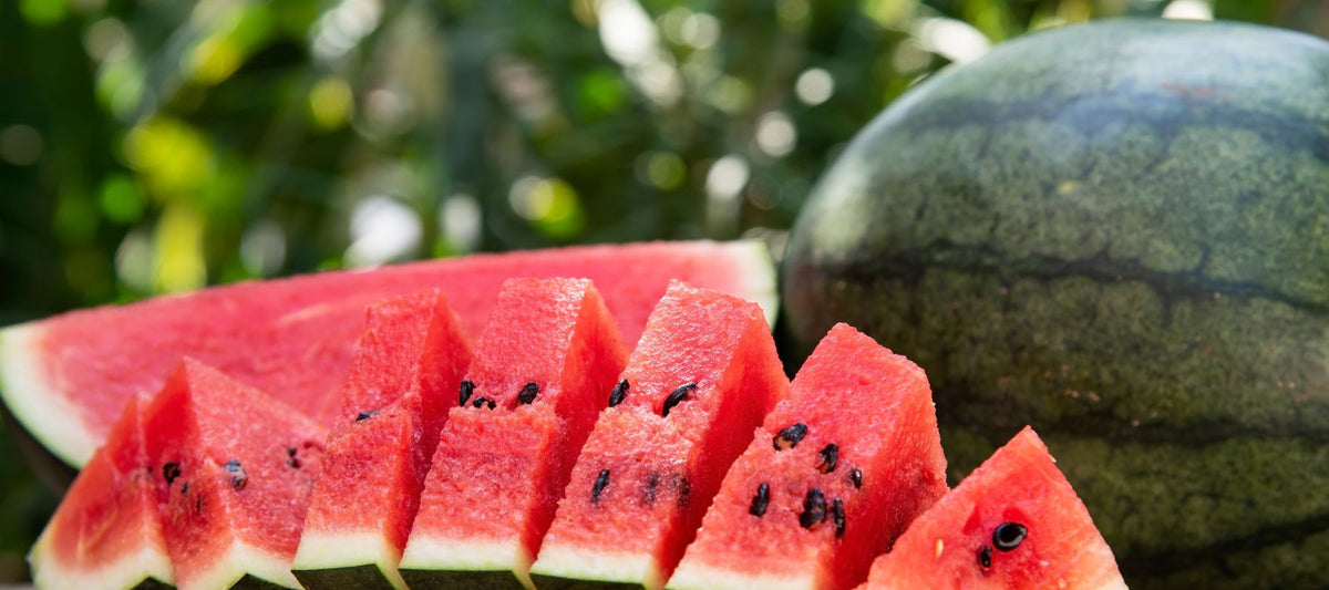 How to Enjoy Summer Watermelon – SurvivalGardenSeeds