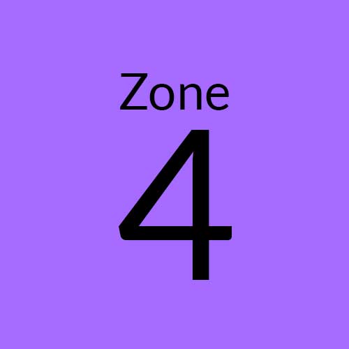 Garden Seeds for USDA Hardiness Zone 4 – SurvivalGardenSeeds