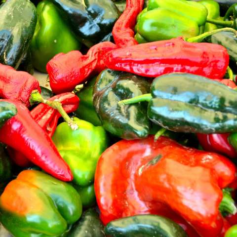 Pepper Seeds – SurvivalGardenSeeds