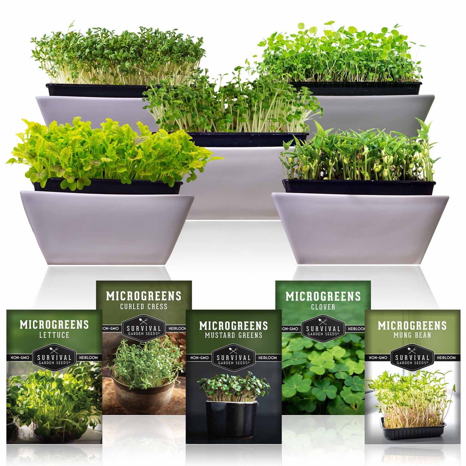 Heirloom Microgreen Seeds 5 Variety Pack – SurvivalGardenSeeds