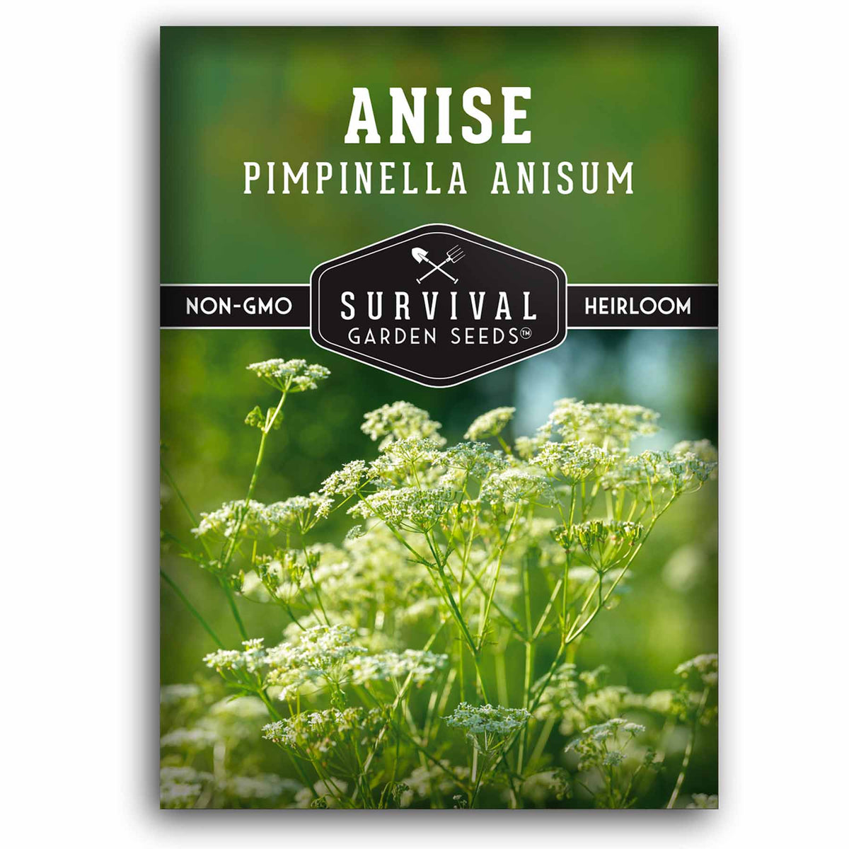 Anise Seeds – Culinary & Medicinal Herb – SurvivalGardenSeeds