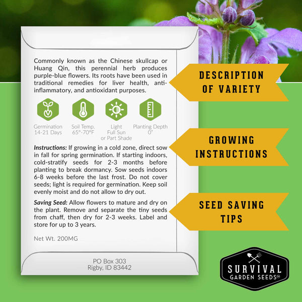 Skullcap Seeds – SurvivalGardenSeeds