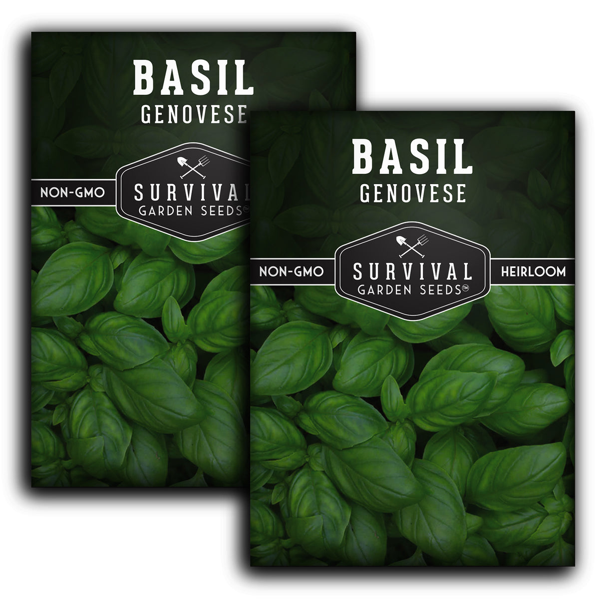 Basil Seeds – SurvivalGardenSeeds