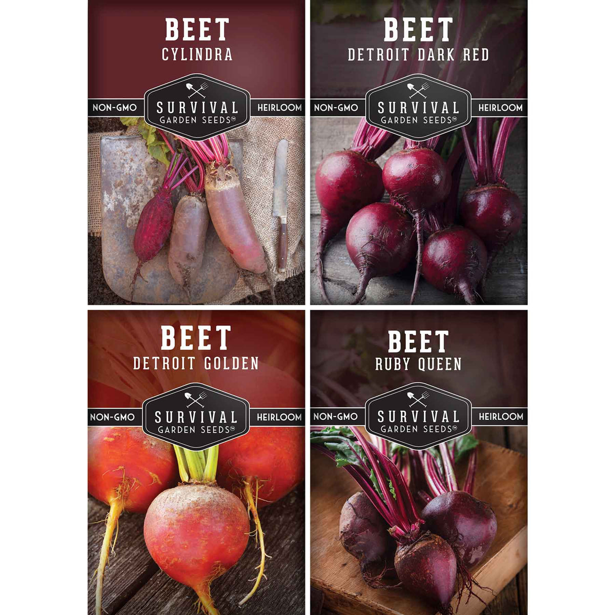 4 Colorful Beet Seed Collection – SurvivalGardenSeeds