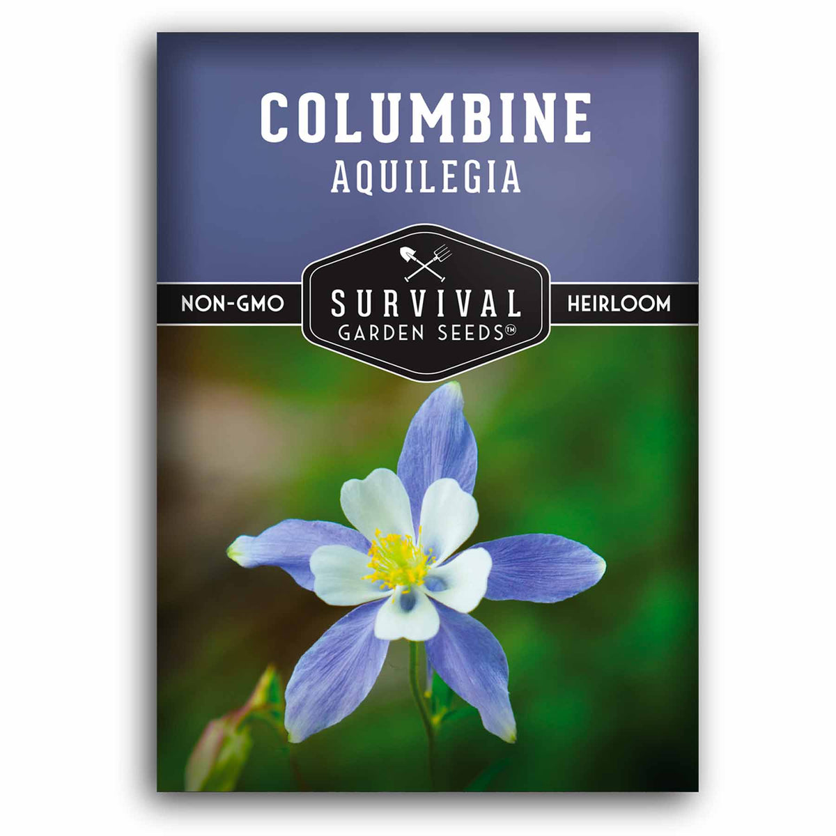 Blue Columbine Seeds – SurvivalGardenSeeds
