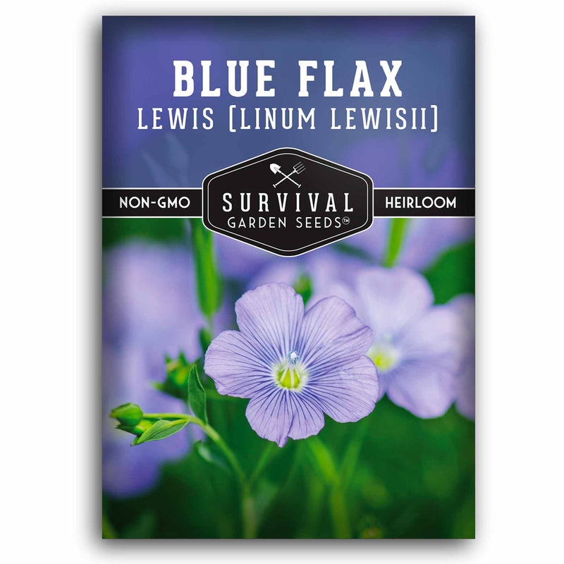 Lewis Blue Flax Seeds - Drought Hardy – SurvivalGardenSeeds