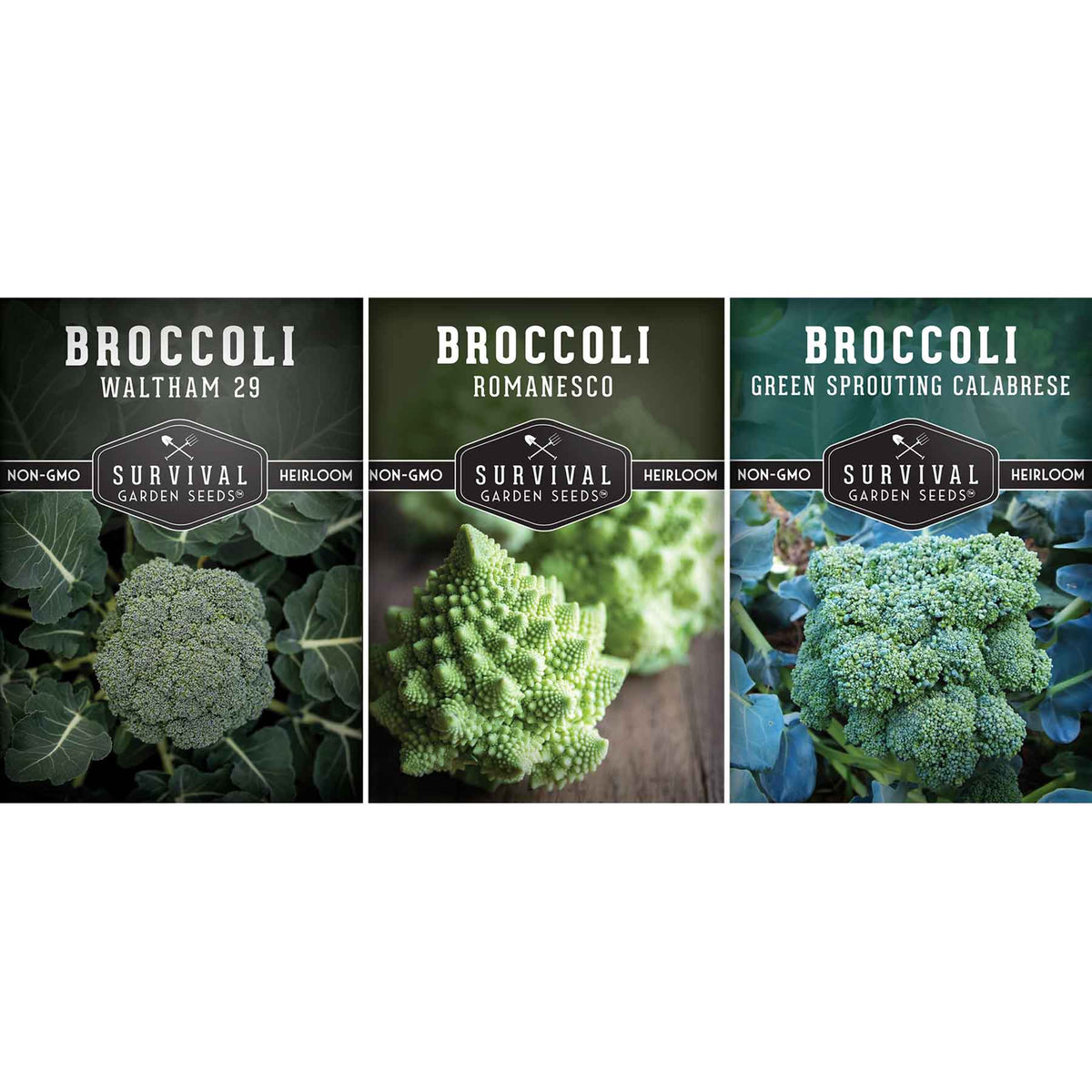 Broccoli Seed Collection - 3 Varieties – SurvivalGardenSeeds