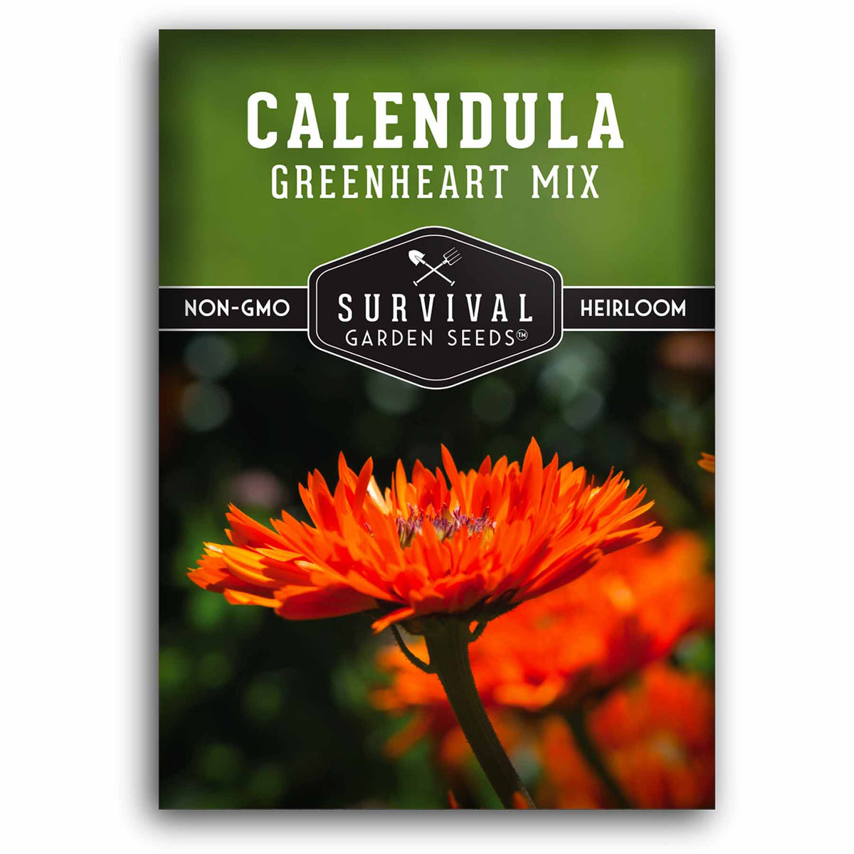 Greenheart Calendula Flower Seeds – SurvivalGardenSeeds