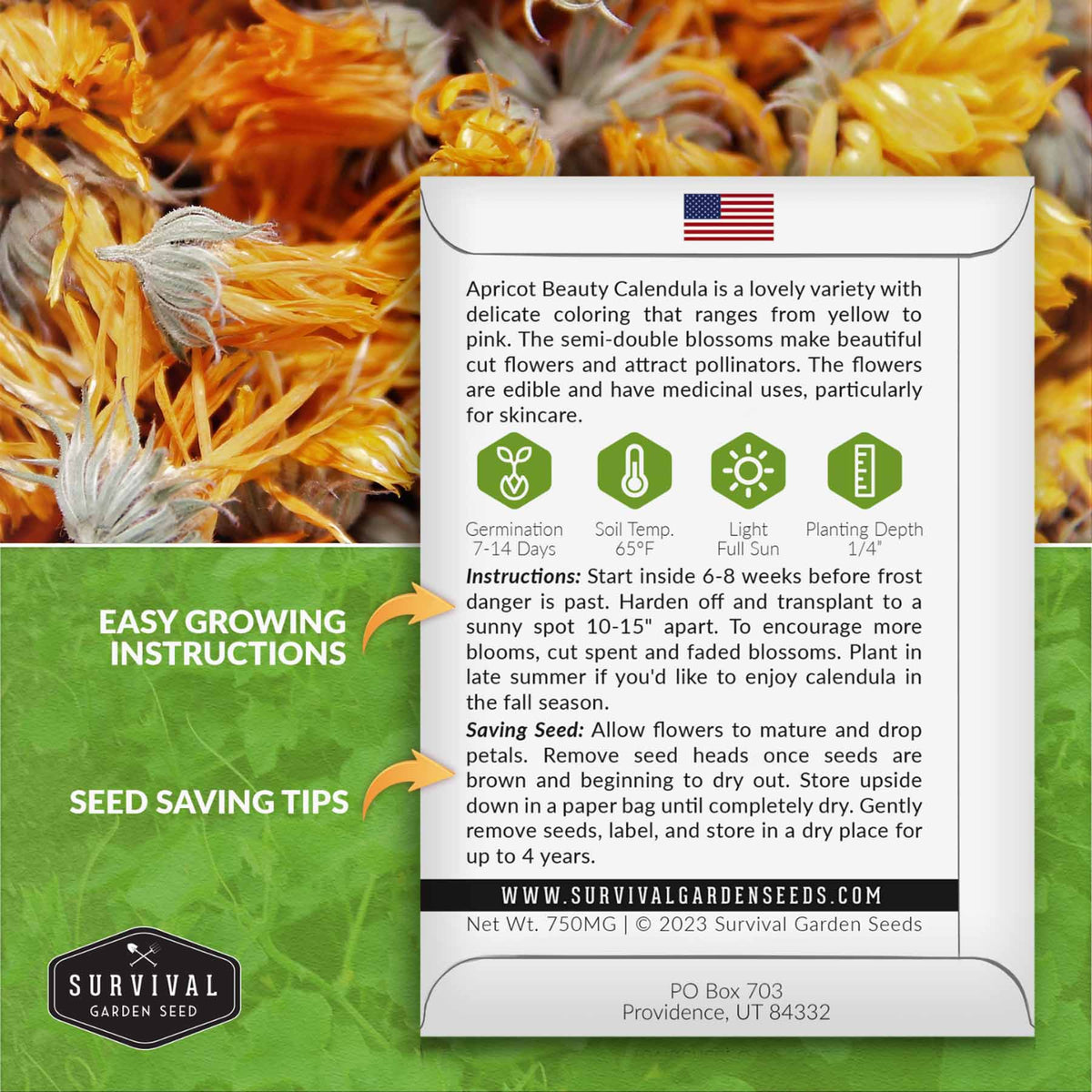 Calendula Seeds – SurvivalGardenSeeds