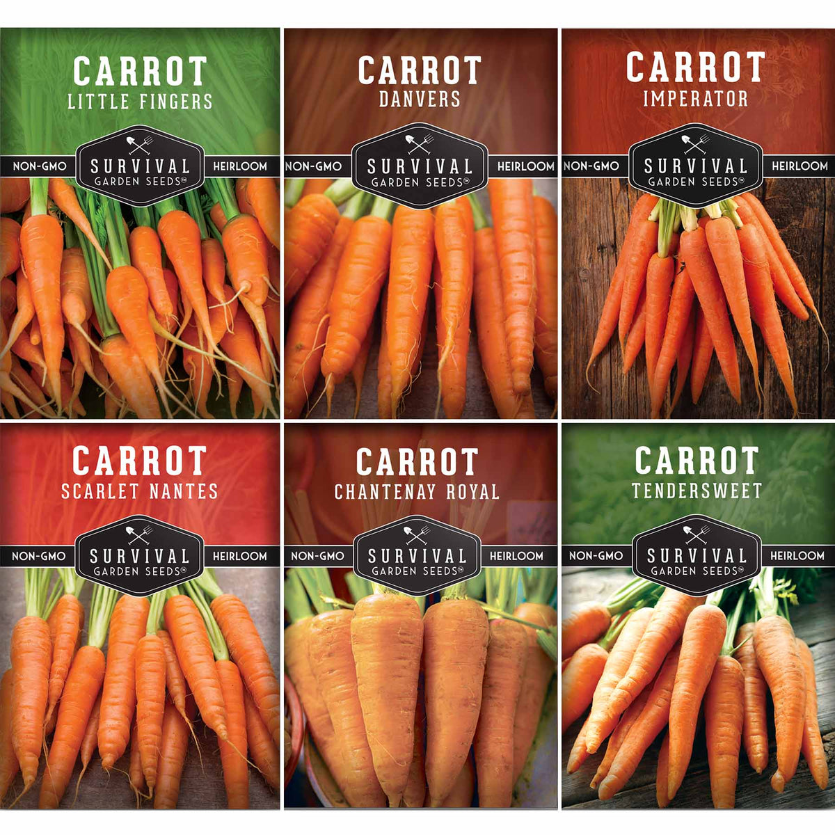 Carrot Seed Collection - 3 Popular Carrots – SurvivalGardenSeeds