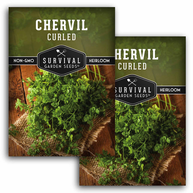 Curled Chervil (French Parsley) Seeds – SurvivalGardenSeeds
