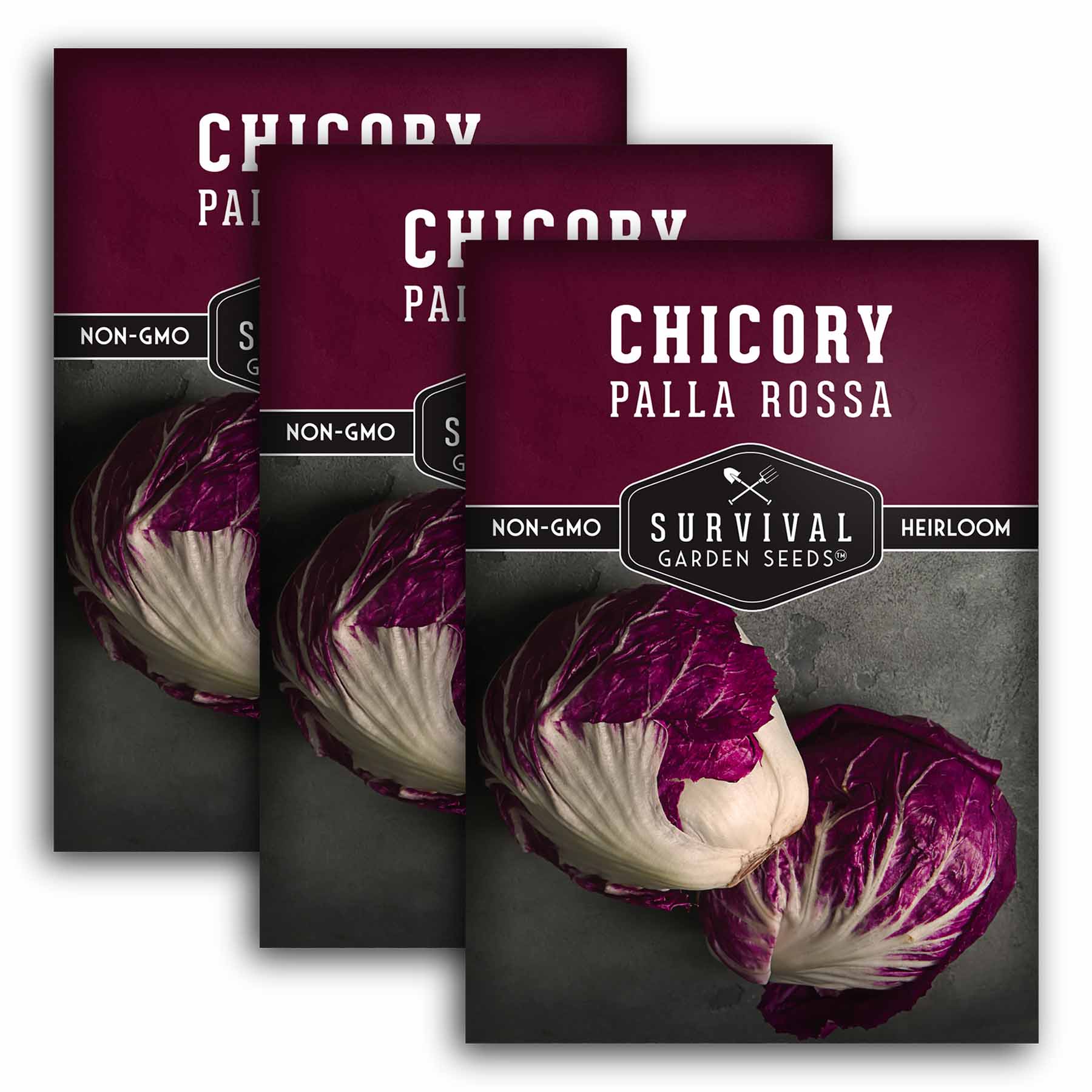 Palla Rossa Chicory Seed - Radicchio - SurvivalGardenSeeds