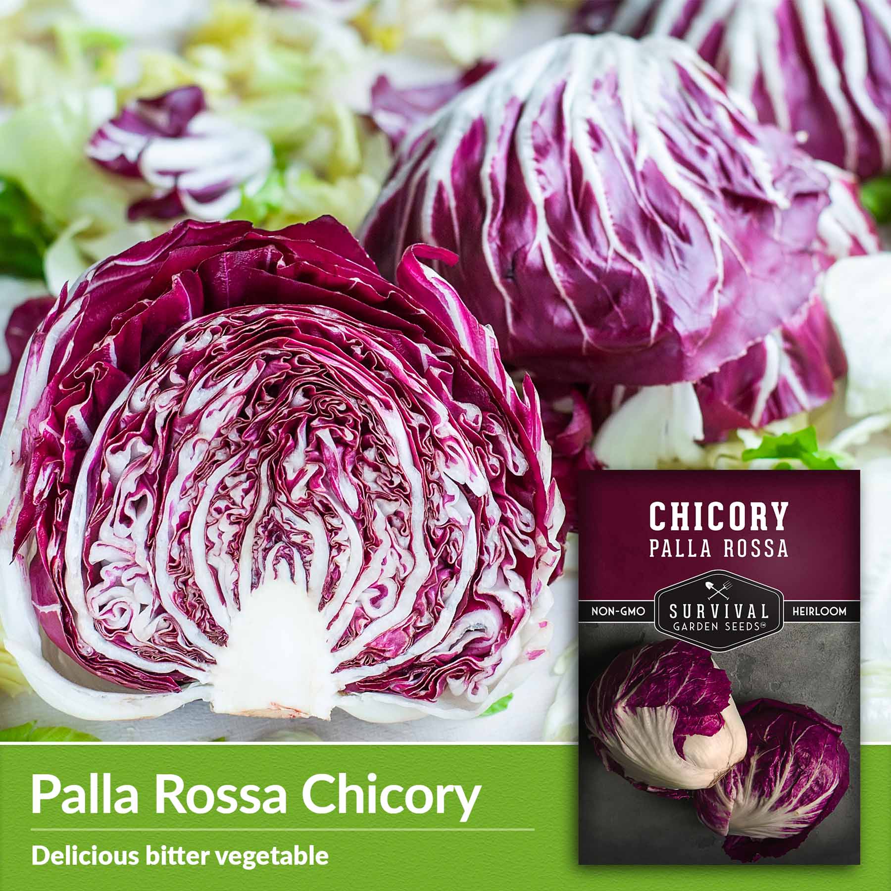 Palla Rossa Chicory Seed - Radicchio - SurvivalGardenSeeds