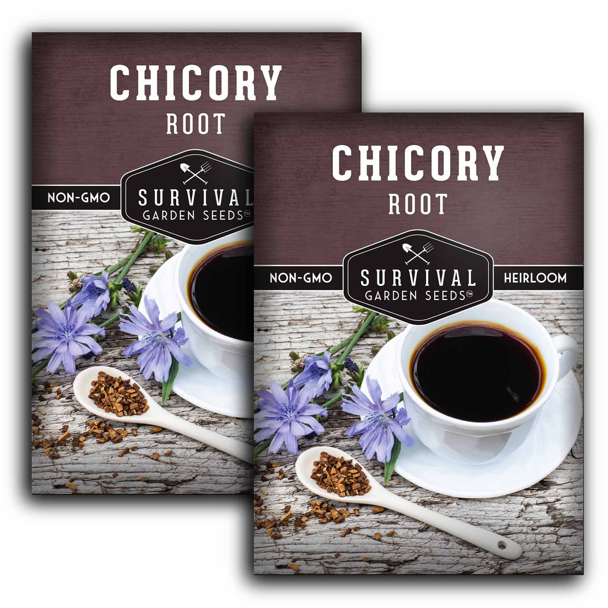 Chicory Seeds – SurvivalGardenSeeds