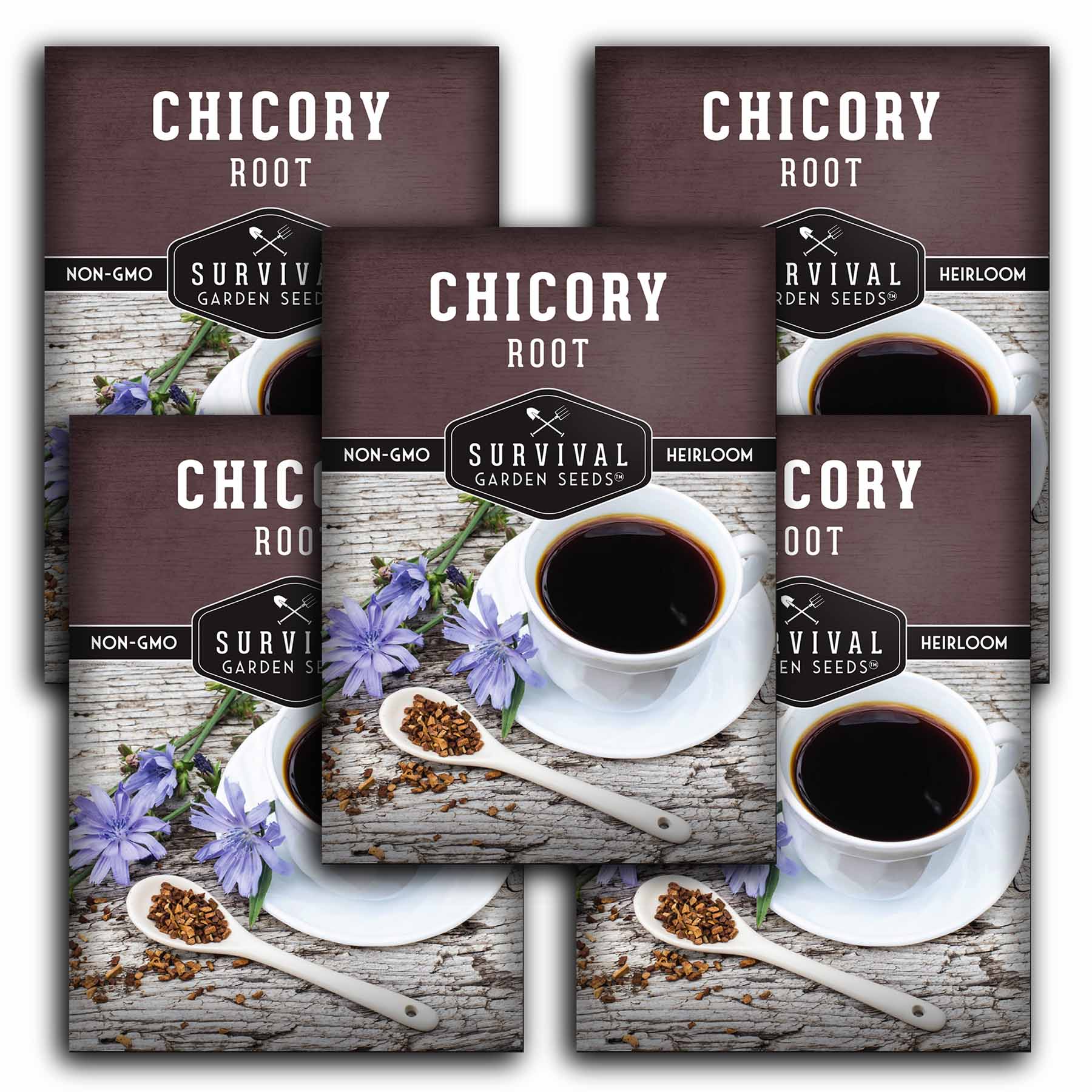 Root Chicory Seed - Coffee Chicory - SurvivalGardenSeeds