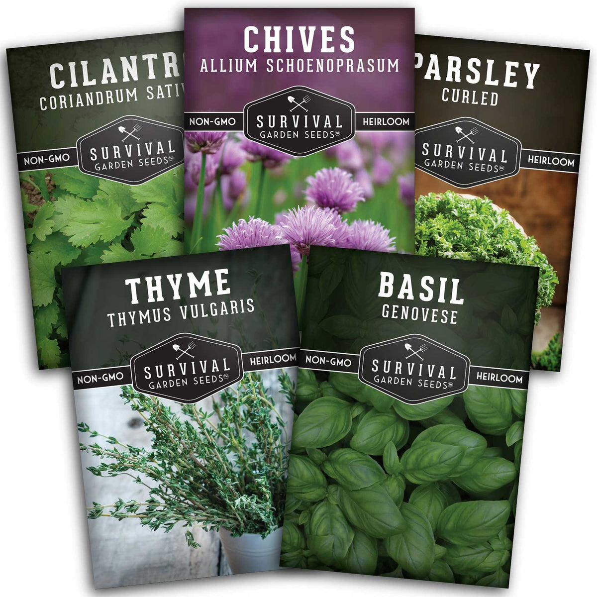 Herb Seed Packets for Planting – SurvivalGardenSeeds