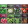 Fall Garden Eight Seed Collection – SurvivalGardenSeeds