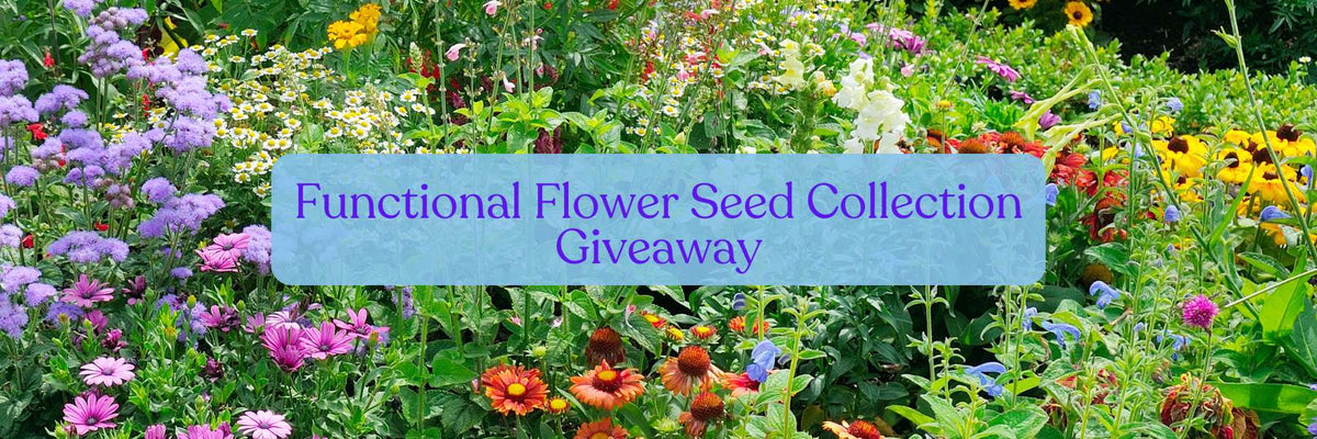 Enter the Stivers Homestead Functional Flower Seed Kit Giveaway ...