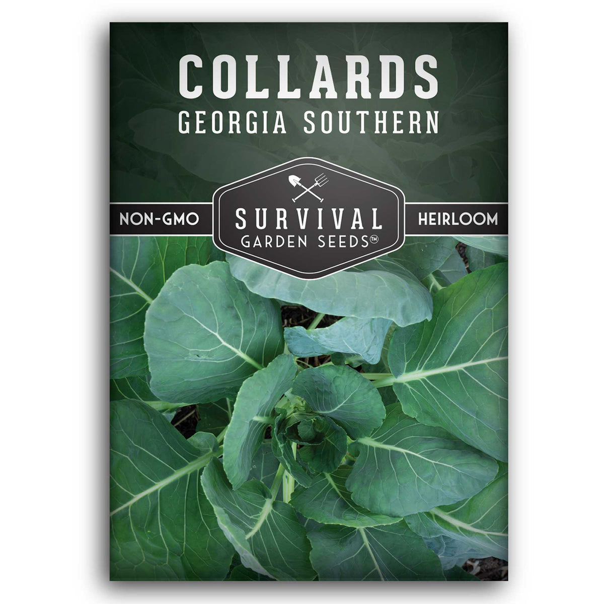Georgia Southern Collard Greens – Heirloom Seeds – SurvivalGardenSeeds