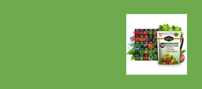 Cultivate a Healthier Future with Heirloom Seeds – SurvivalGardenSeeds