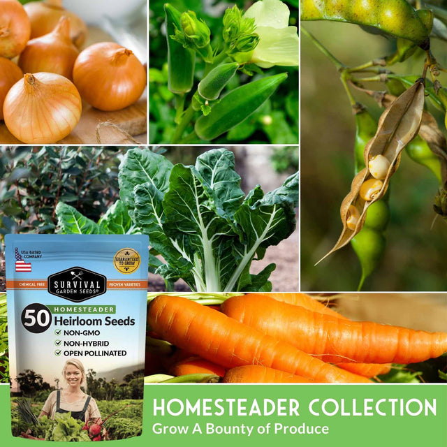 Homestead Seed Vault - 50 Heirloom Seed Packets – SurvivalGardenSeeds