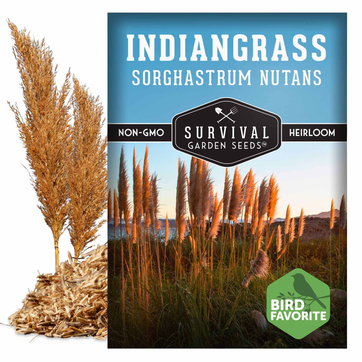 Indiangrass Seeds – Native Prairie Grass – SurvivalGardenSeeds