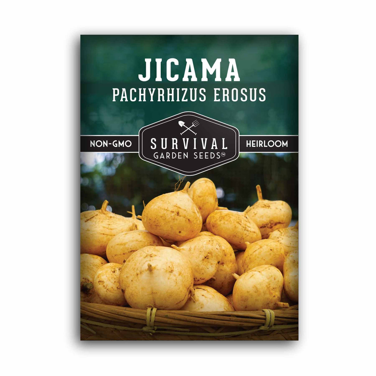 Jicama Seeds - Mexican Turnip – SurvivalGardenSeeds