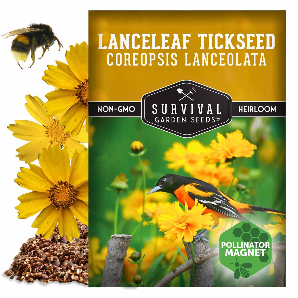 Lanceleaf Tickseed – Native Coreopsis Seeds – SurvivalGardenSeeds