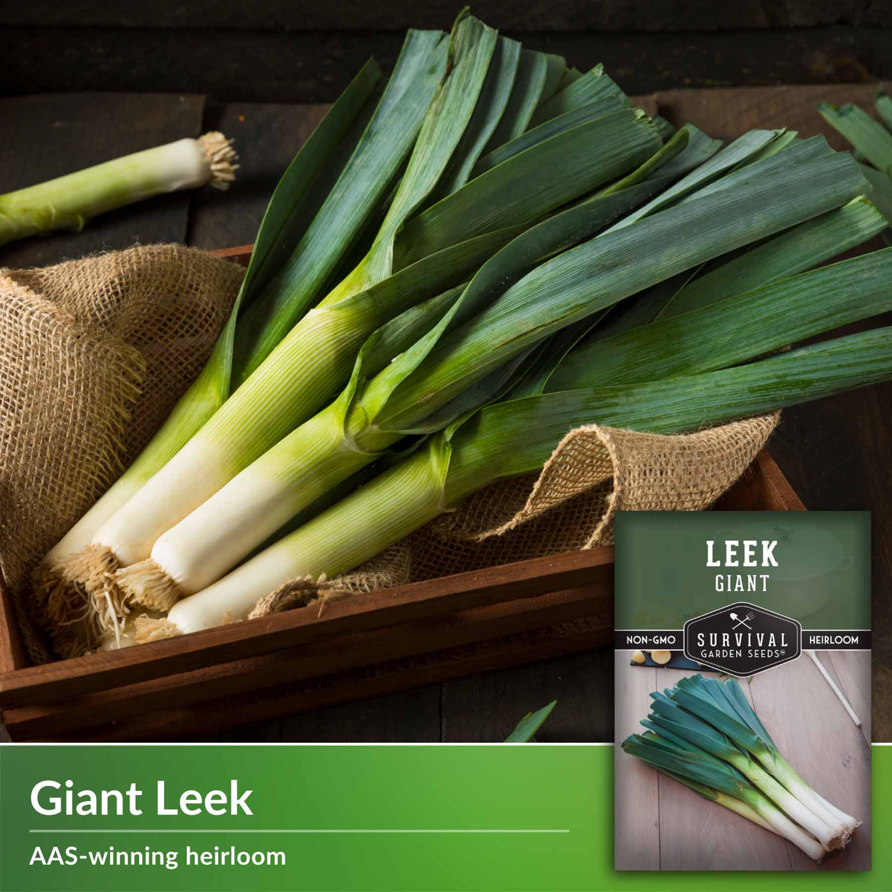 Giant Leek Seeds - All American Award Winner - SurvivalGardenSeeds