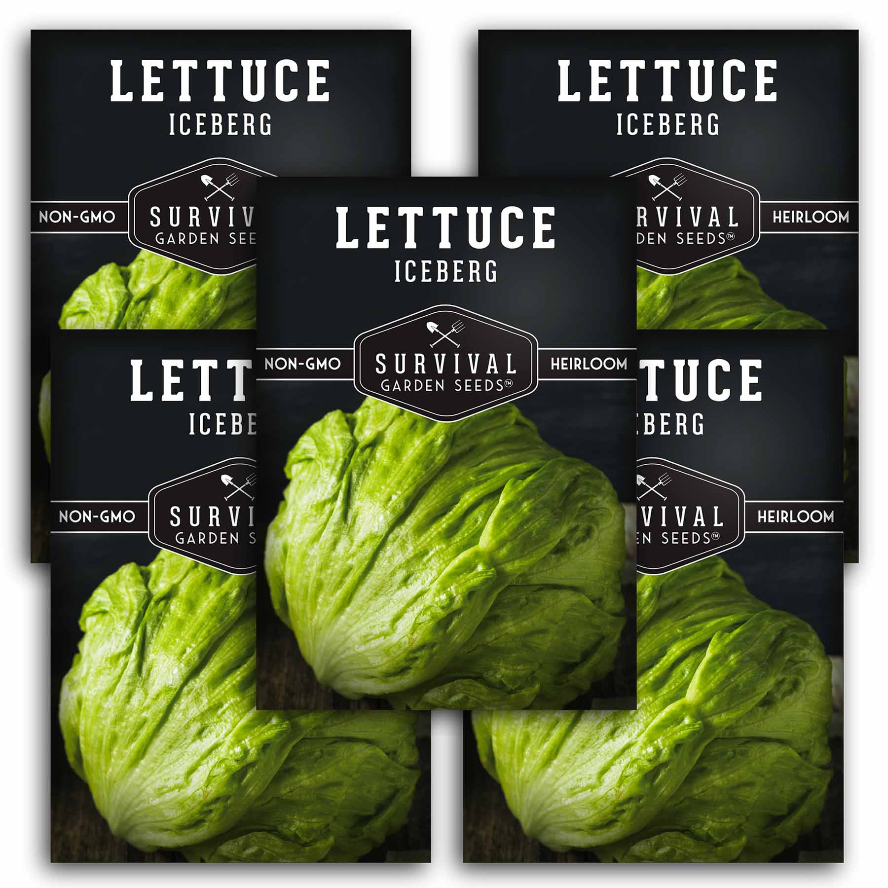 Iceberg Lettuce Seed for Planting - SurvivalGardenSeeds