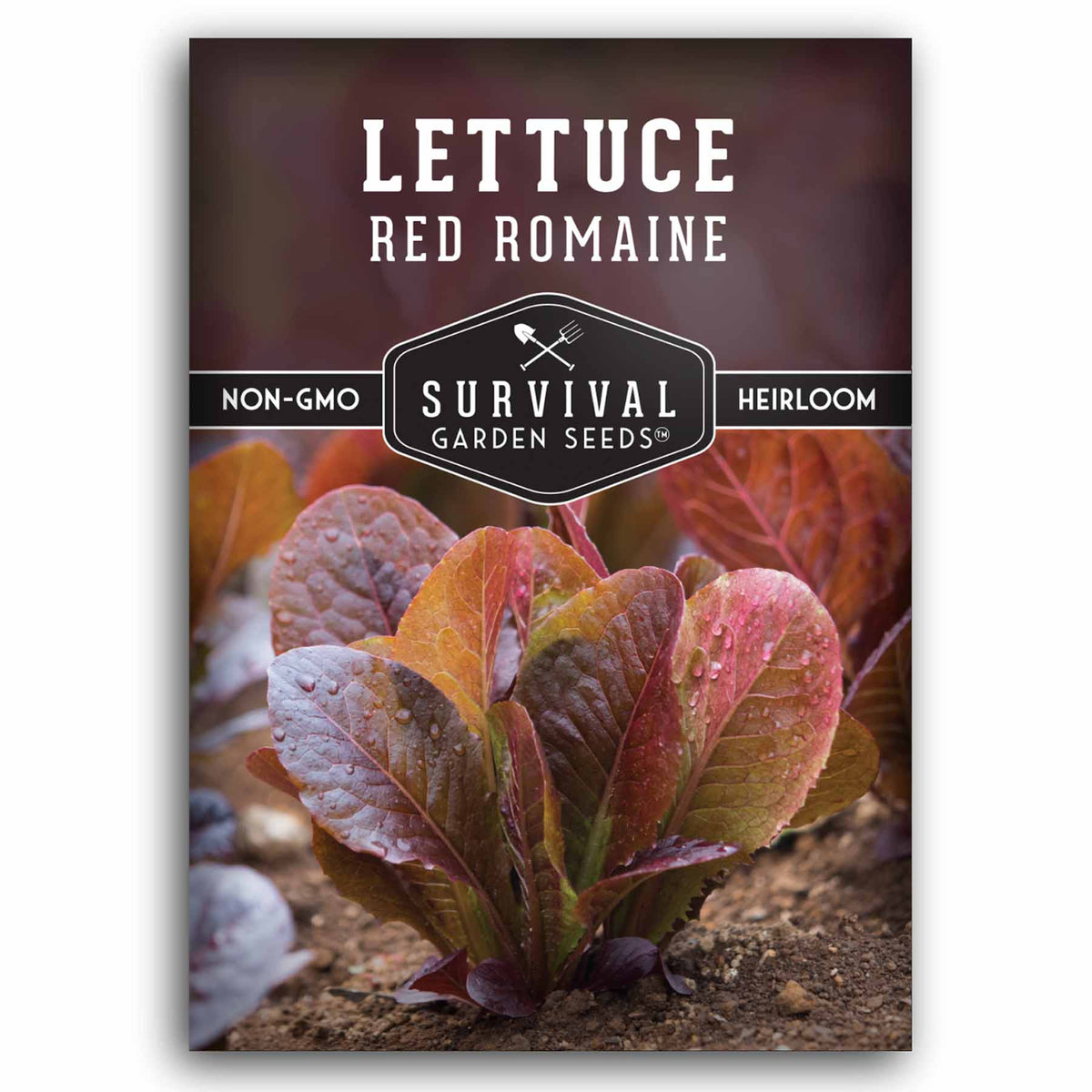 Red Romaine Lettuce – Heirloom Cos Seeds – SurvivalGardenSeeds