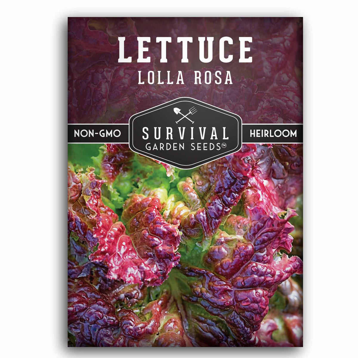 Lolla Rosa Lettuce Seed for Planting – SurvivalGardenSeeds