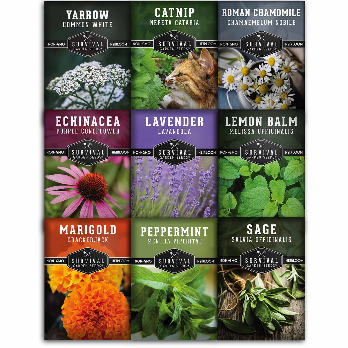 Herb Garden Seed Collections – SurvivalGardenSeeds