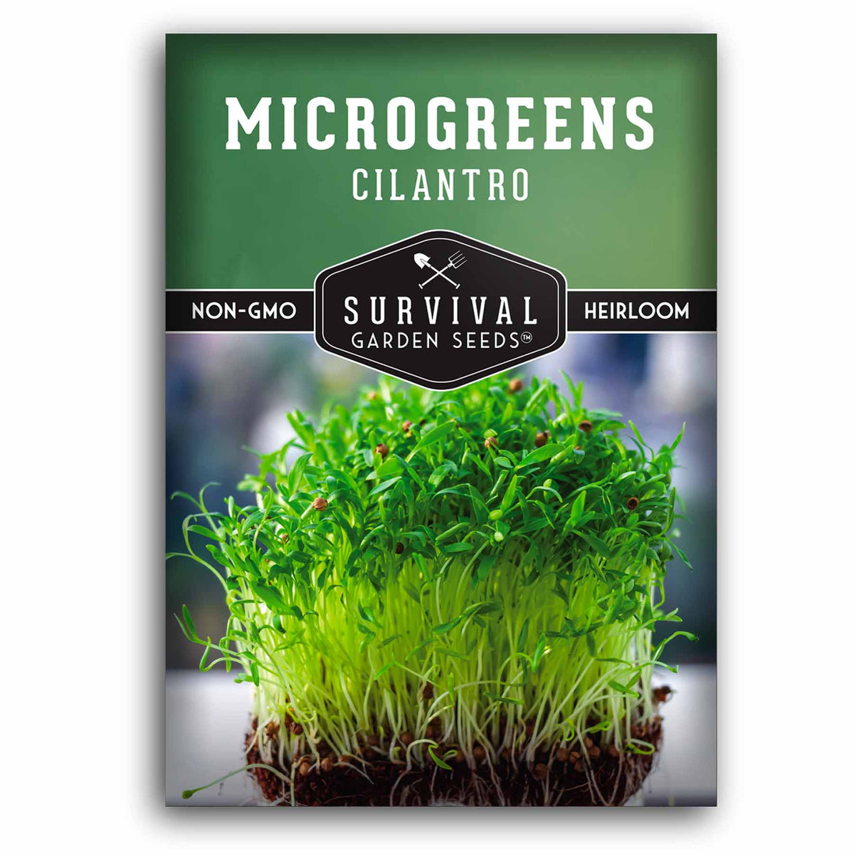 Cilantro Microgreens Heirloom Seeds – SurvivalGardenSeeds