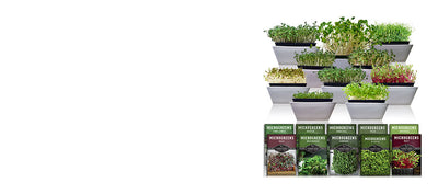 Vegetable Seed Packets – SurvivalGardenSeeds