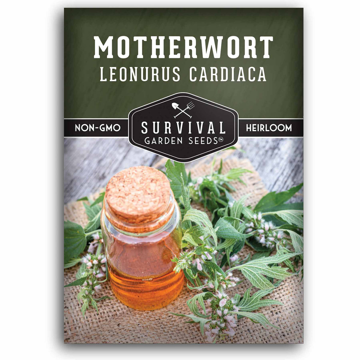 Motherwort Seeds – Leonurus cardiaca – SurvivalGardenSeeds