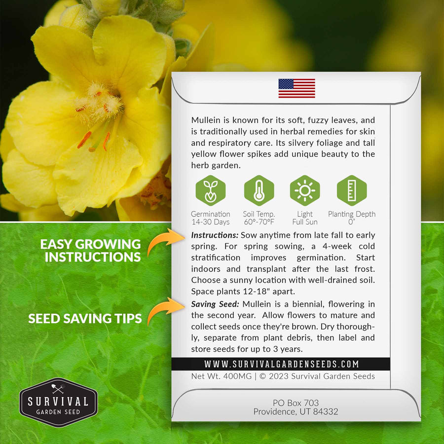 Mullein Seeds – SurvivalGardenSeeds