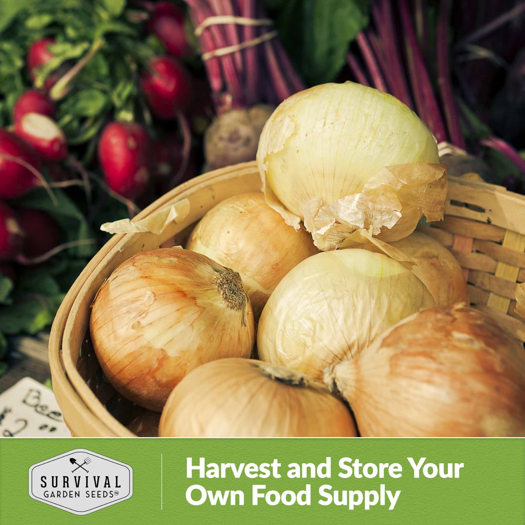 Yellow Sweet Spanish Onion Seeds - Long-Day Onion - SurvivalGardenSeeds