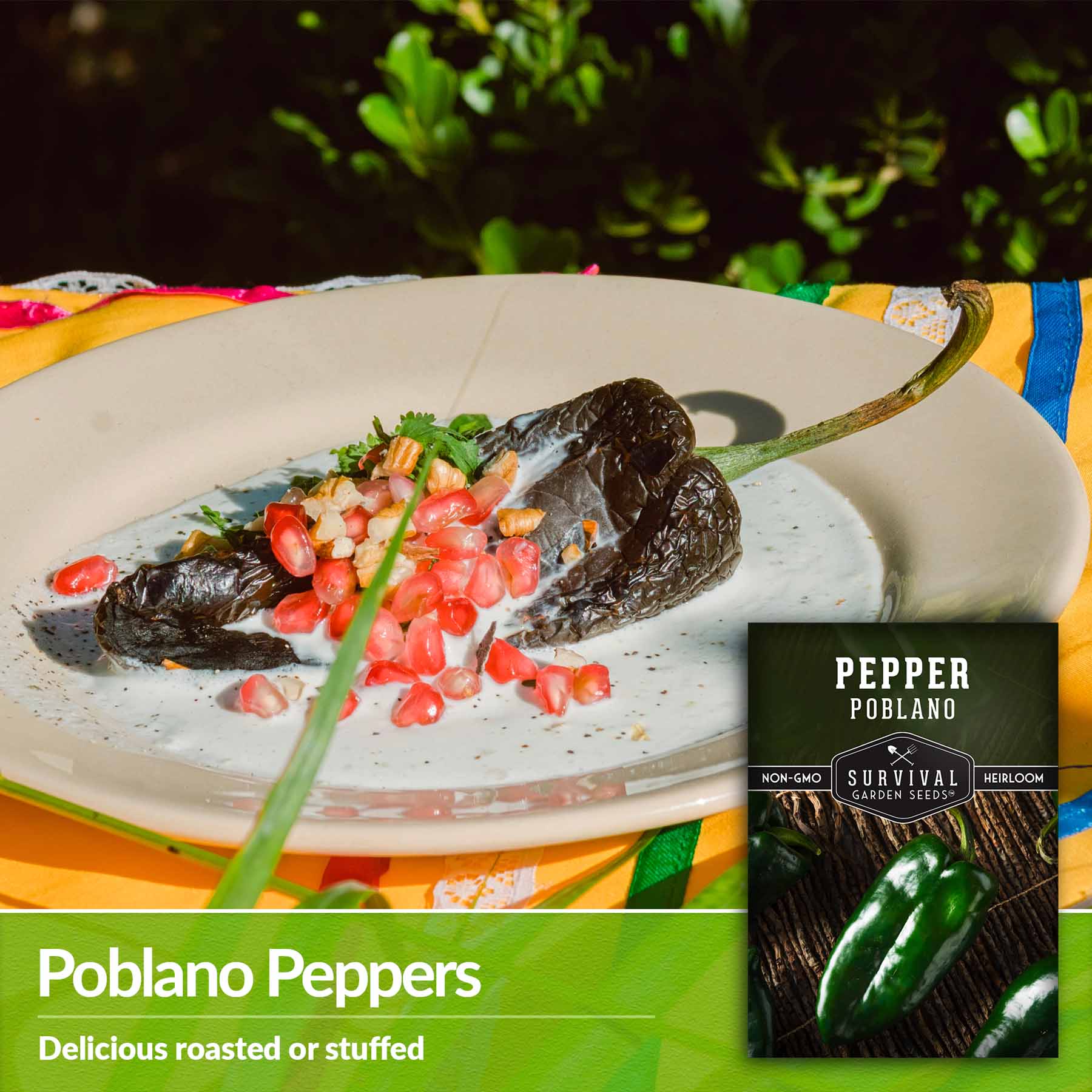 Poblano Pepper Seeds - Ancho Chili - SurvivalGardenSeeds