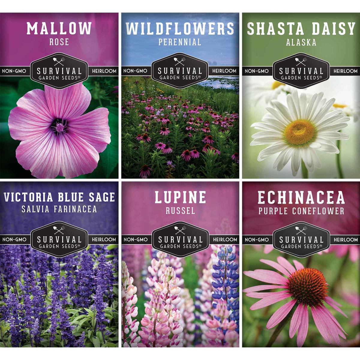 6 Pack Perennial Flowers Seed Collection – SurvivalGardenSeeds