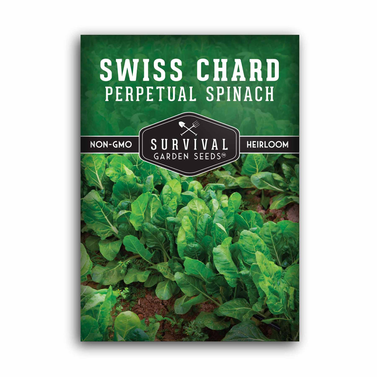 Perpetual Spinach Seeds – Heirloom Swiss Chard – SurvivalGardenSeeds