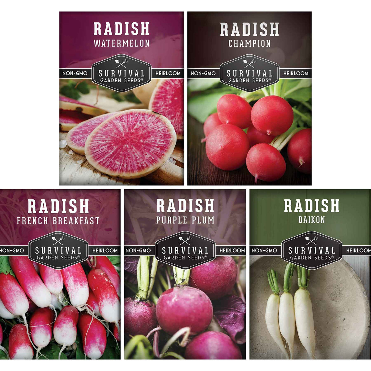 5 Quick Growing Radishes - Seed Collection – SurvivalGardenSeeds