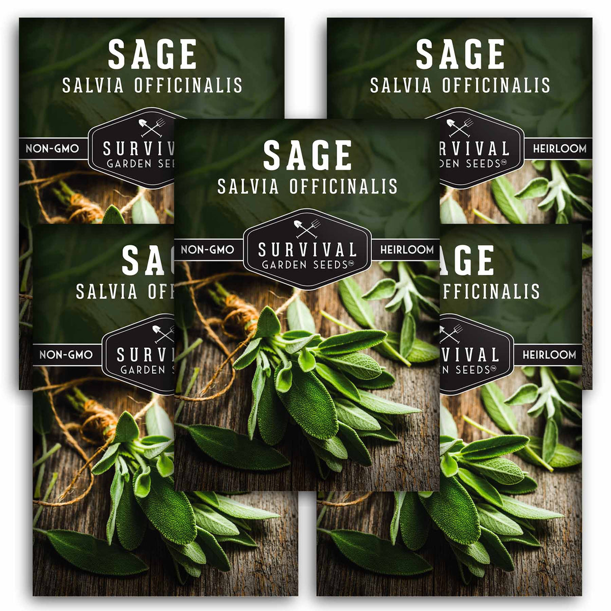 Seed Collection - Sage Seeds – SurvivalGardenSeeds