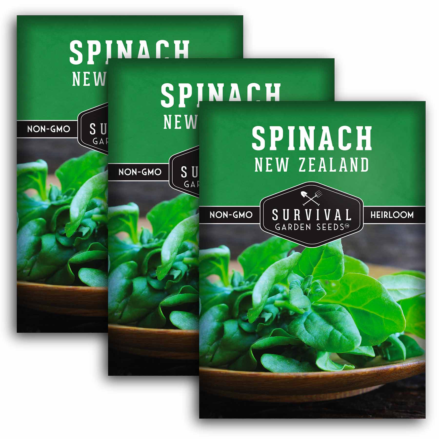 New Zealand Spinach - Tetragonia Tetragonoides - SurvivalGardenSeeds