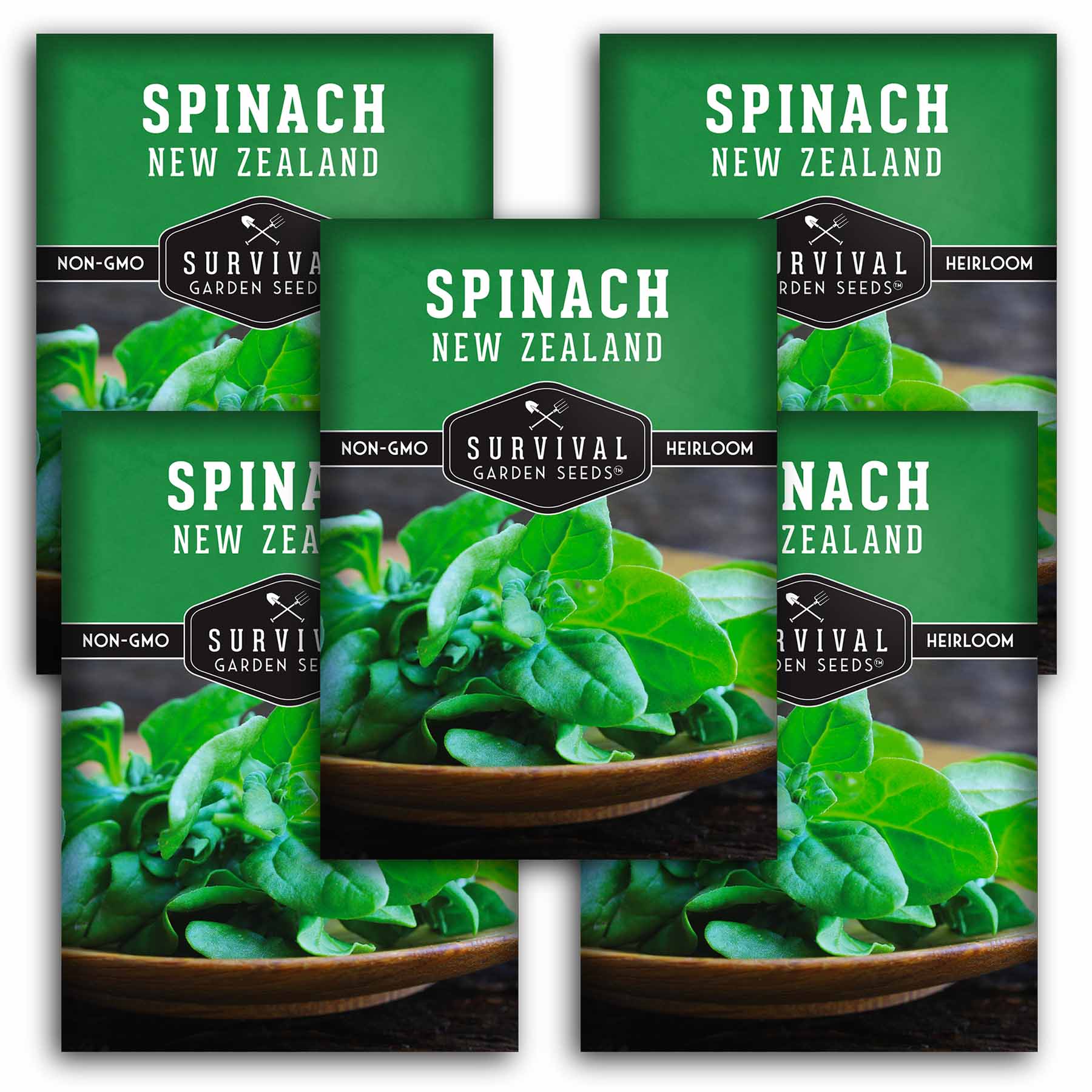 New Zealand Spinach - Tetragonia Tetragonoides - SurvivalGardenSeeds