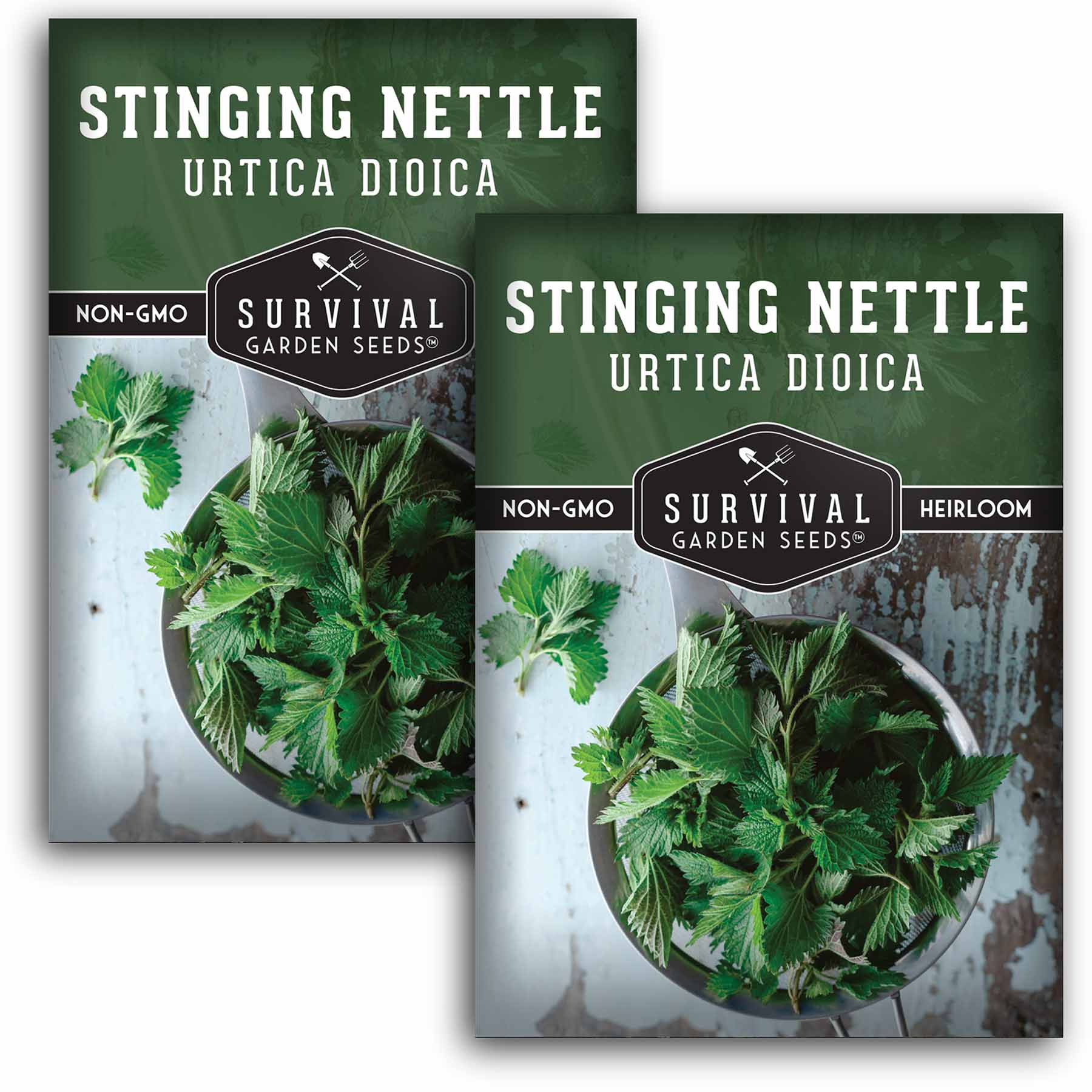Stinging Nettle Seeds - SurvivalGardenSeeds