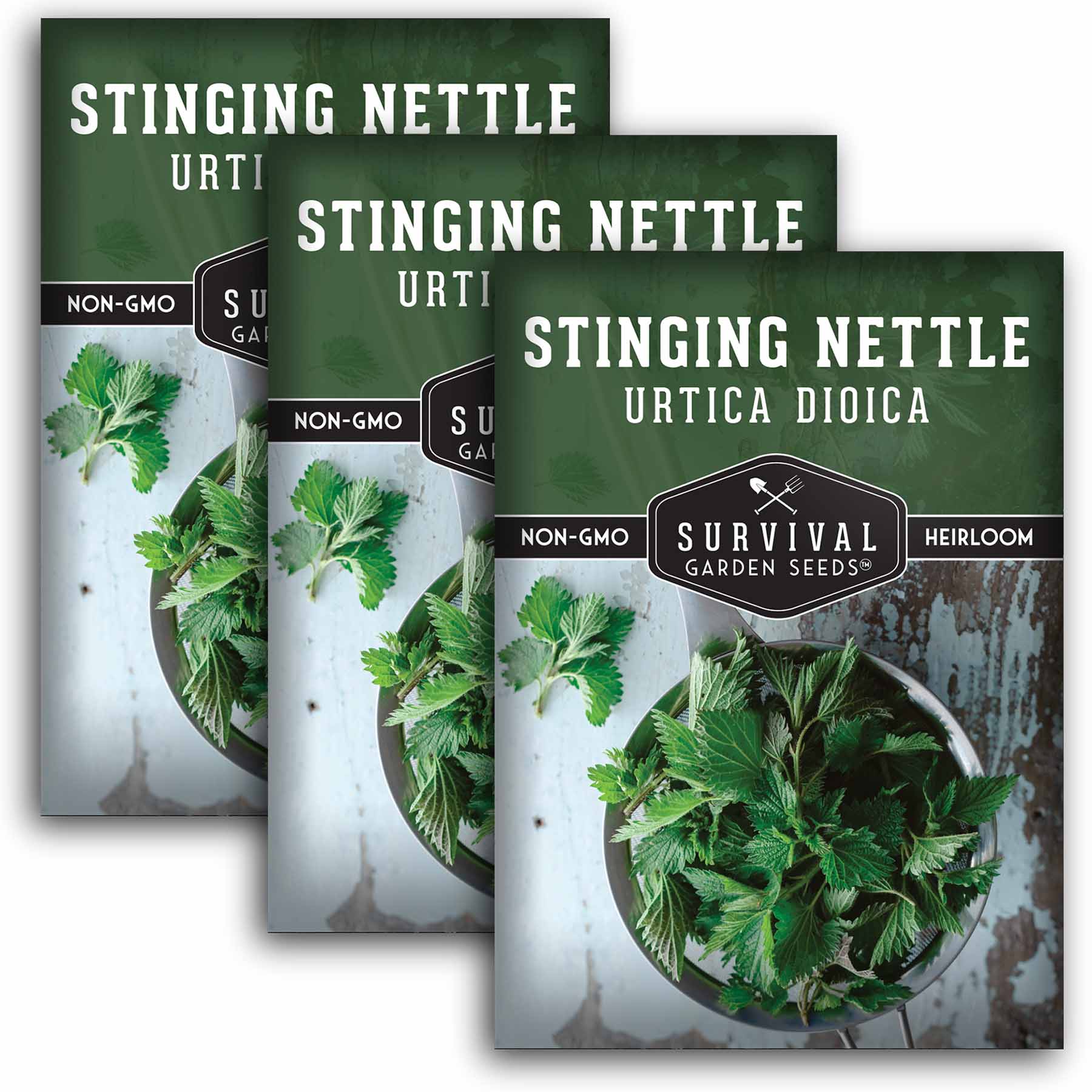 Stinging Nettle Seeds - SurvivalGardenSeeds