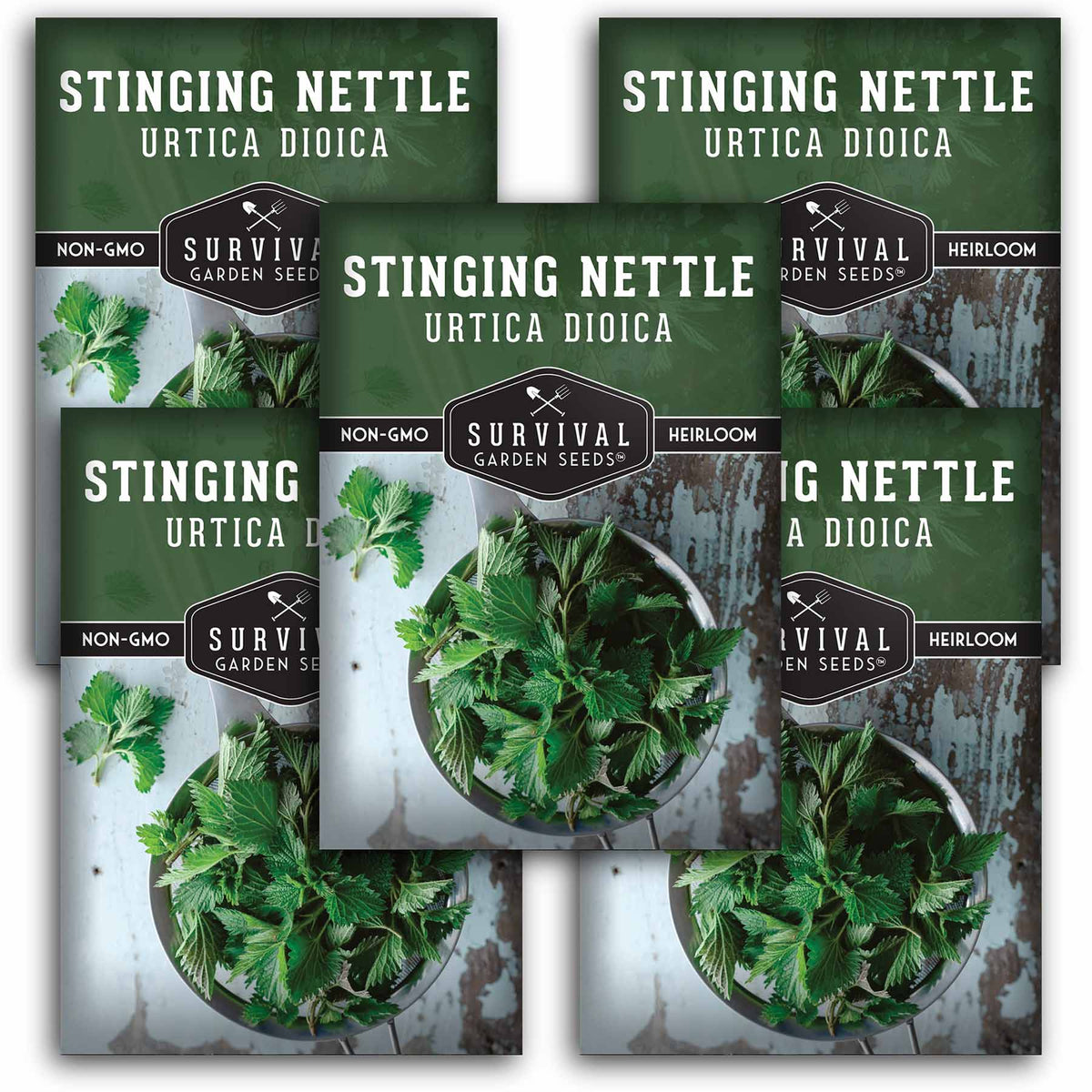 Stinging Nettle Herb Seeds – SurvivalGardenSeeds